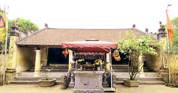 Đầu xuân về với Sơn Tây - Useful.vn